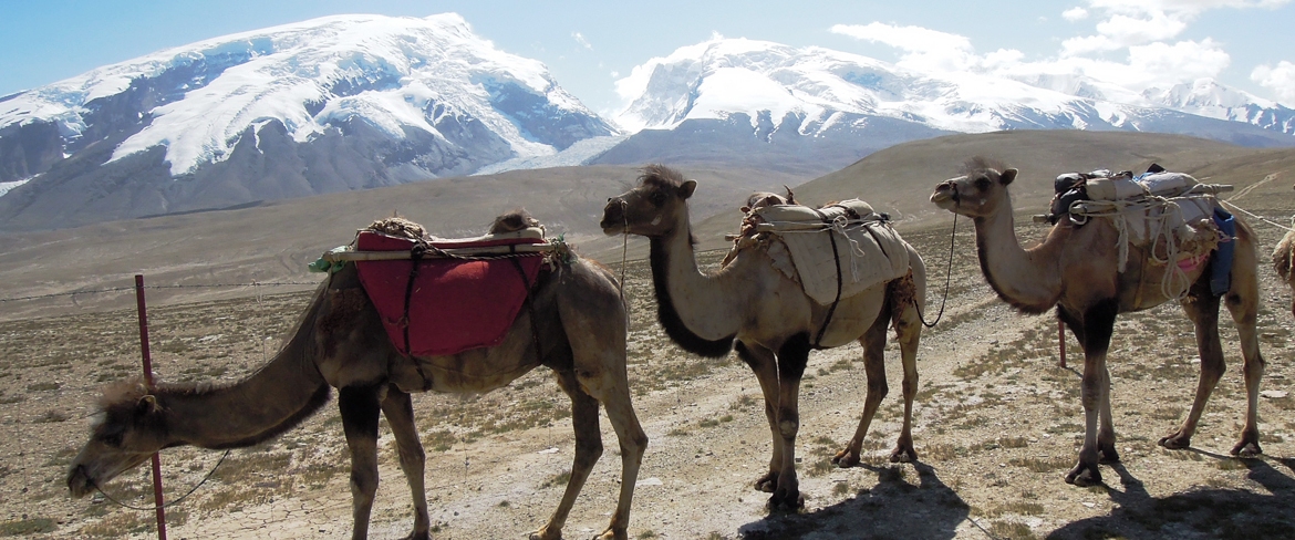 Mustagata Mountain Climbing Expedition News July, climb Mustagh Ata or ...